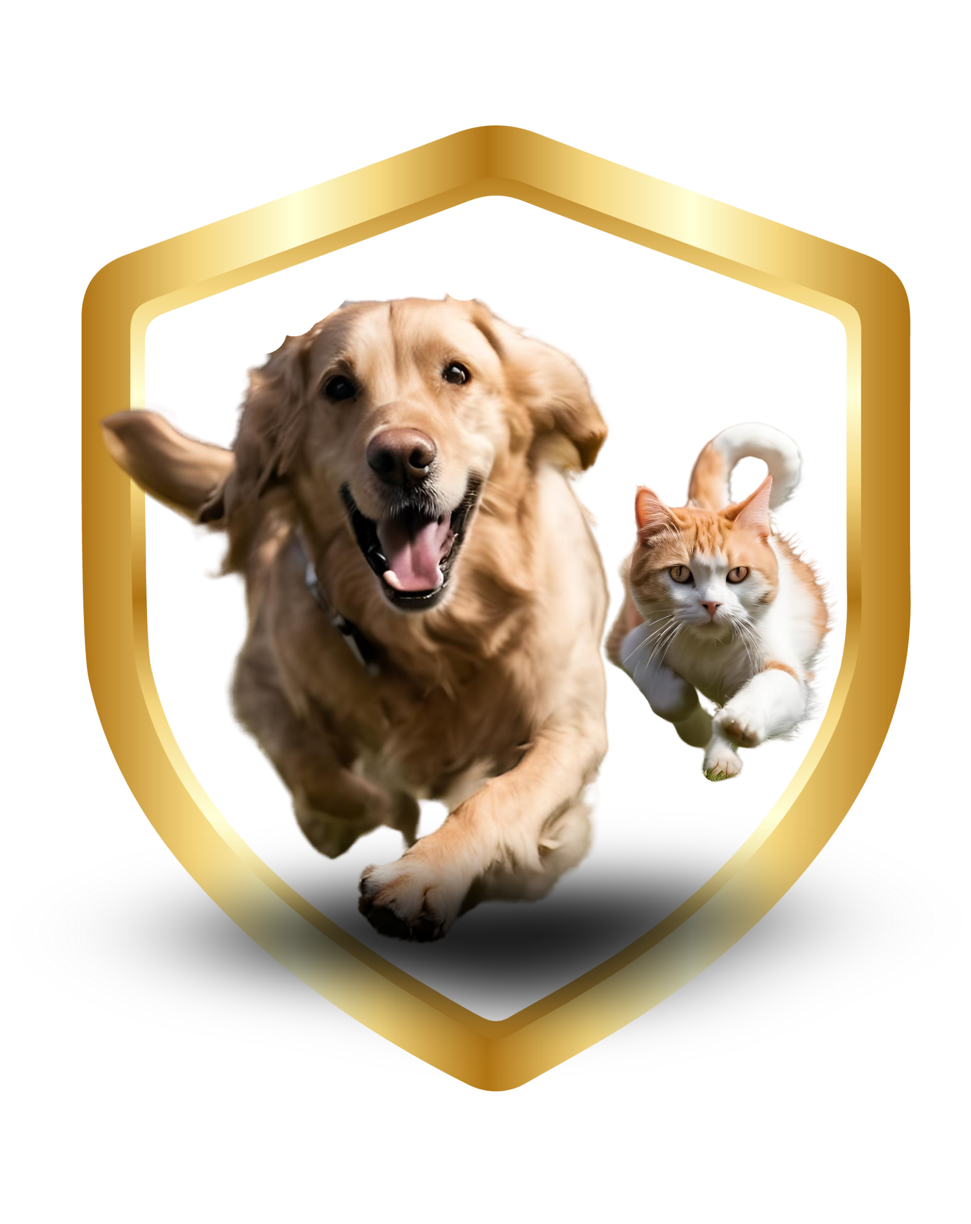 Healthy Joints for Dogs and Cats – Addiction Pet Australia